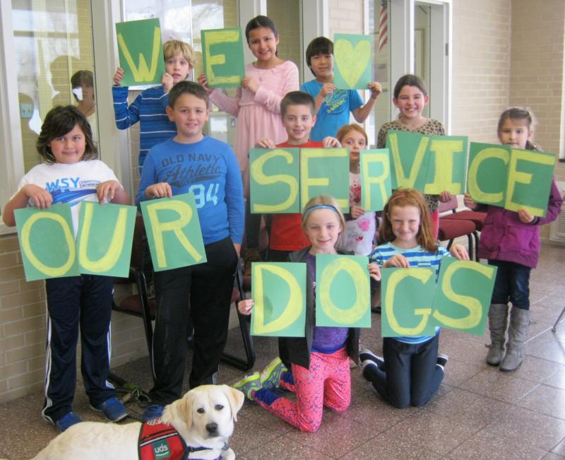 Sweet Cream Labradors | sweet dog, sweet life