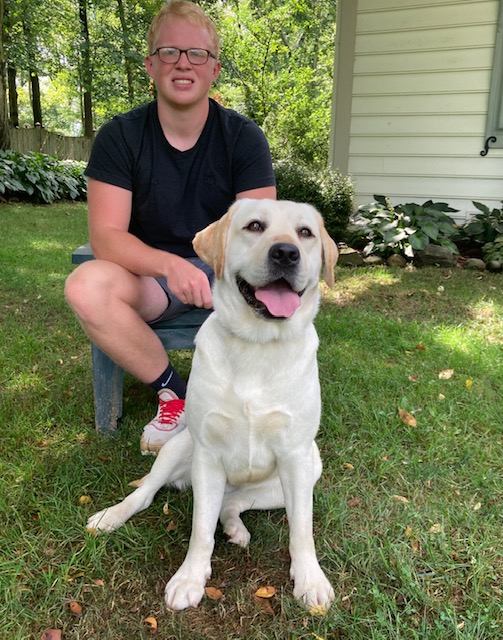 Meet the Parents | Sweet Cream Labradors