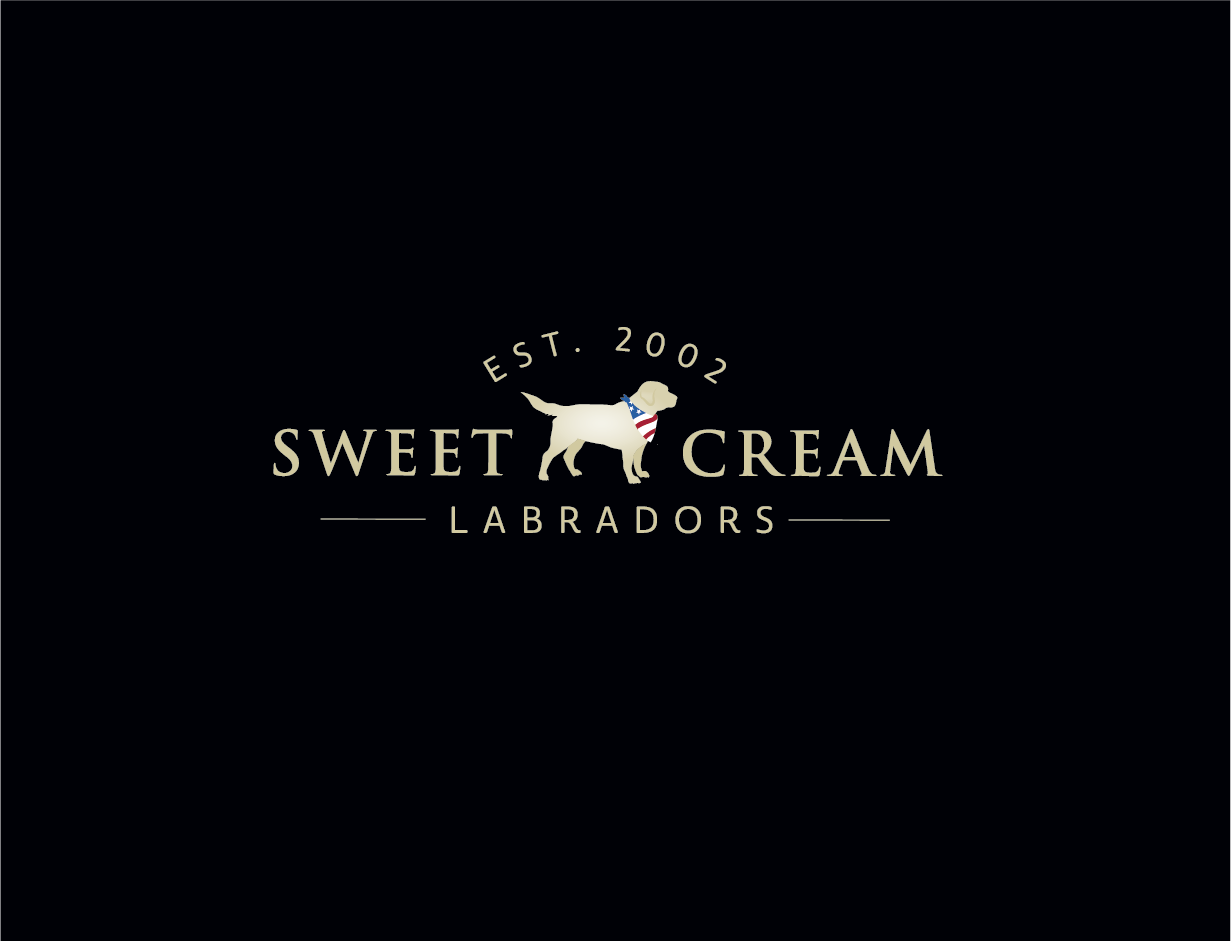 Sweet Cream Labradors | sweet dog, sweet life